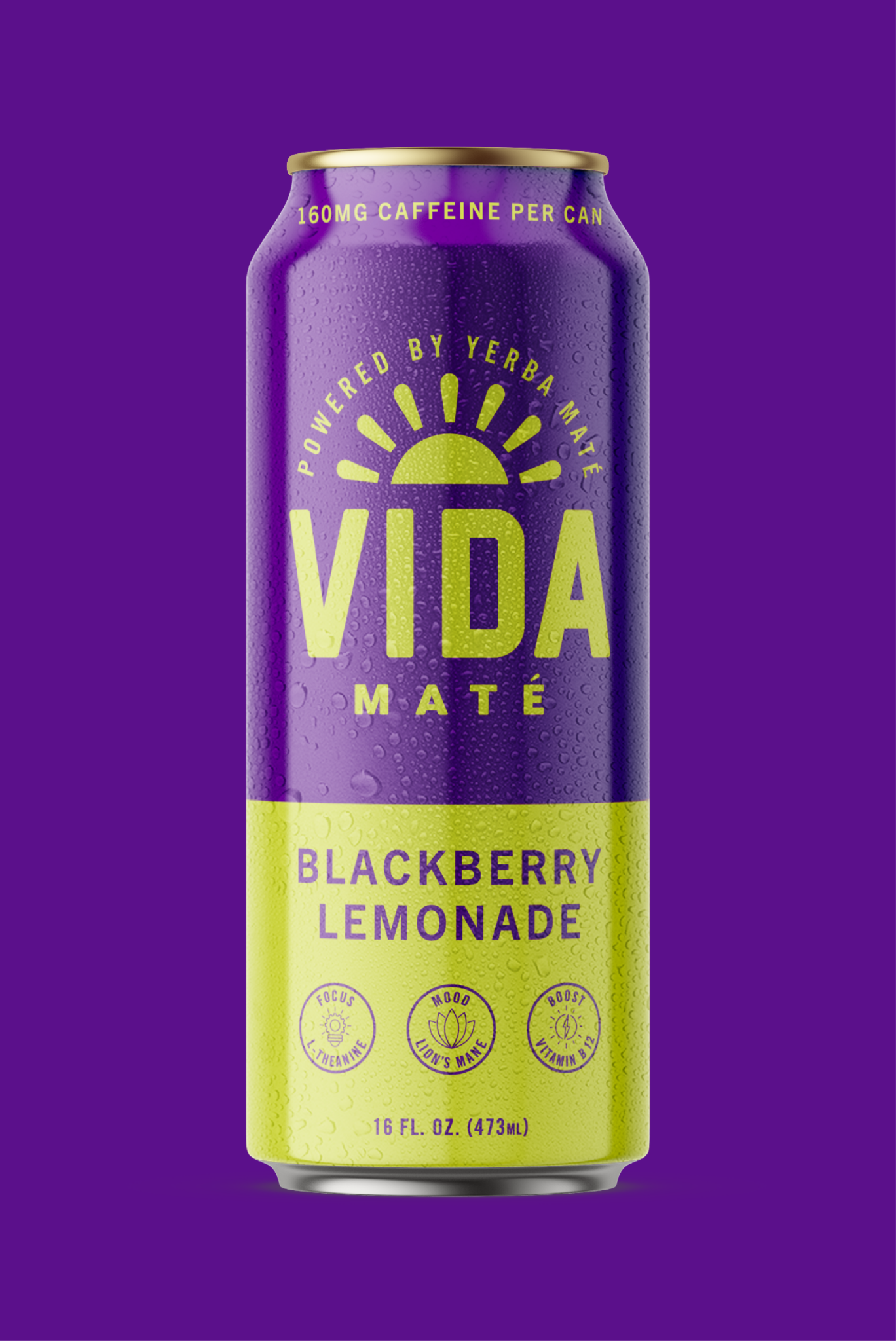 Unlock the benefits of Yerba Maté | VIDA MATÉ